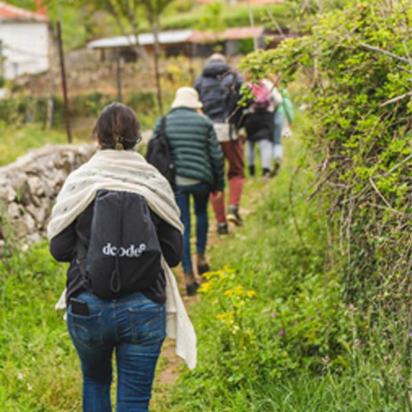 vered The dcode experience october - Dcode